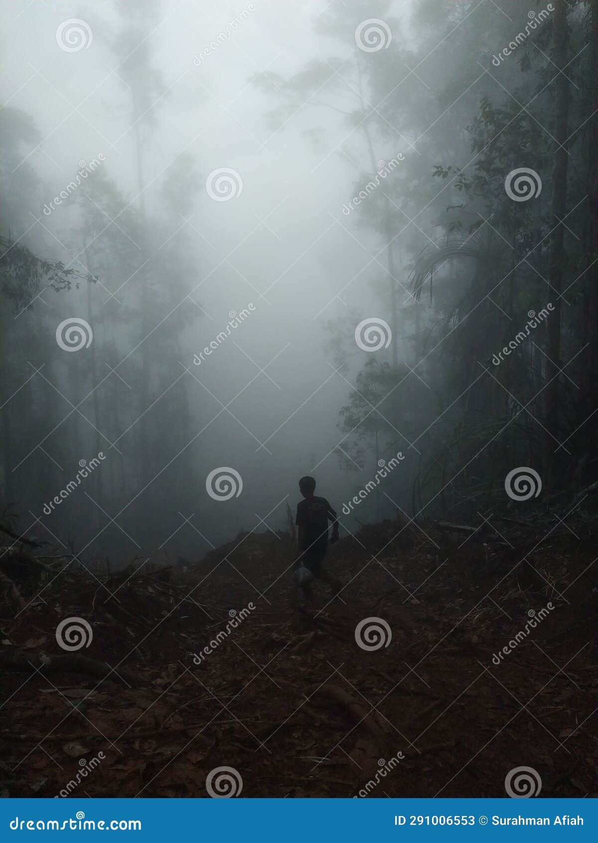 Walk Alone in Dark Forest when Rain Stock Image - Image of forest ...