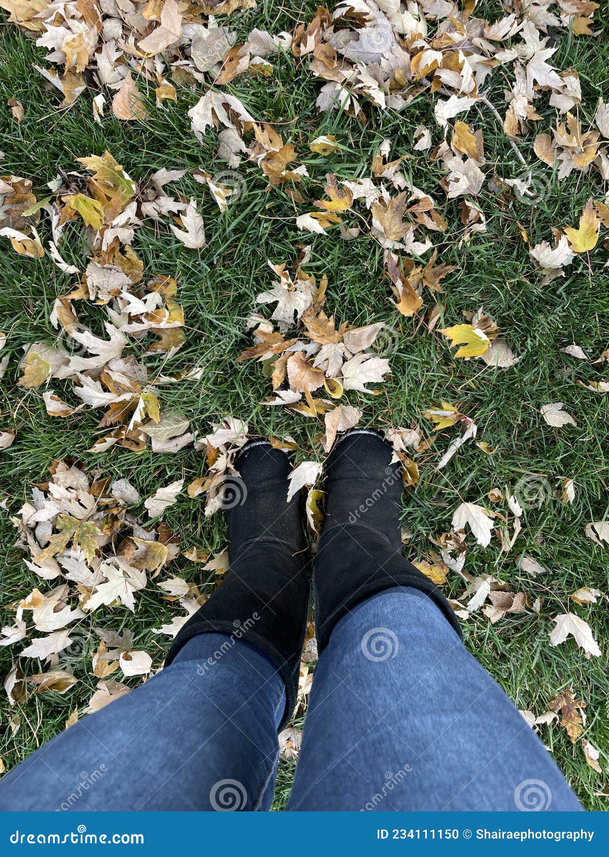 A Walk in the Autumn Leaves Stock Photo - Image of autumn, weather ...