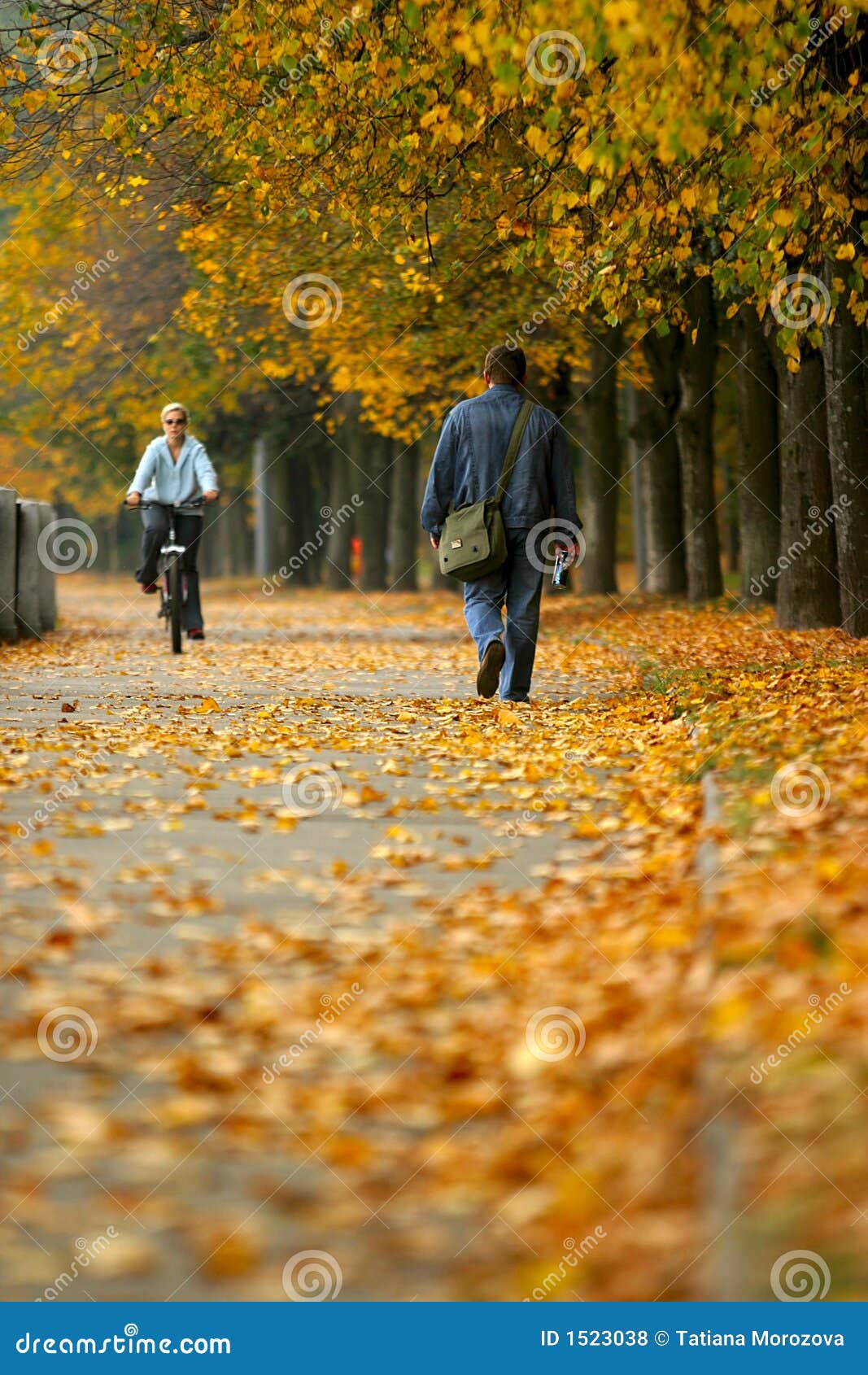 Walk in autumn park stock photo. Image of girl, falling - 1523038