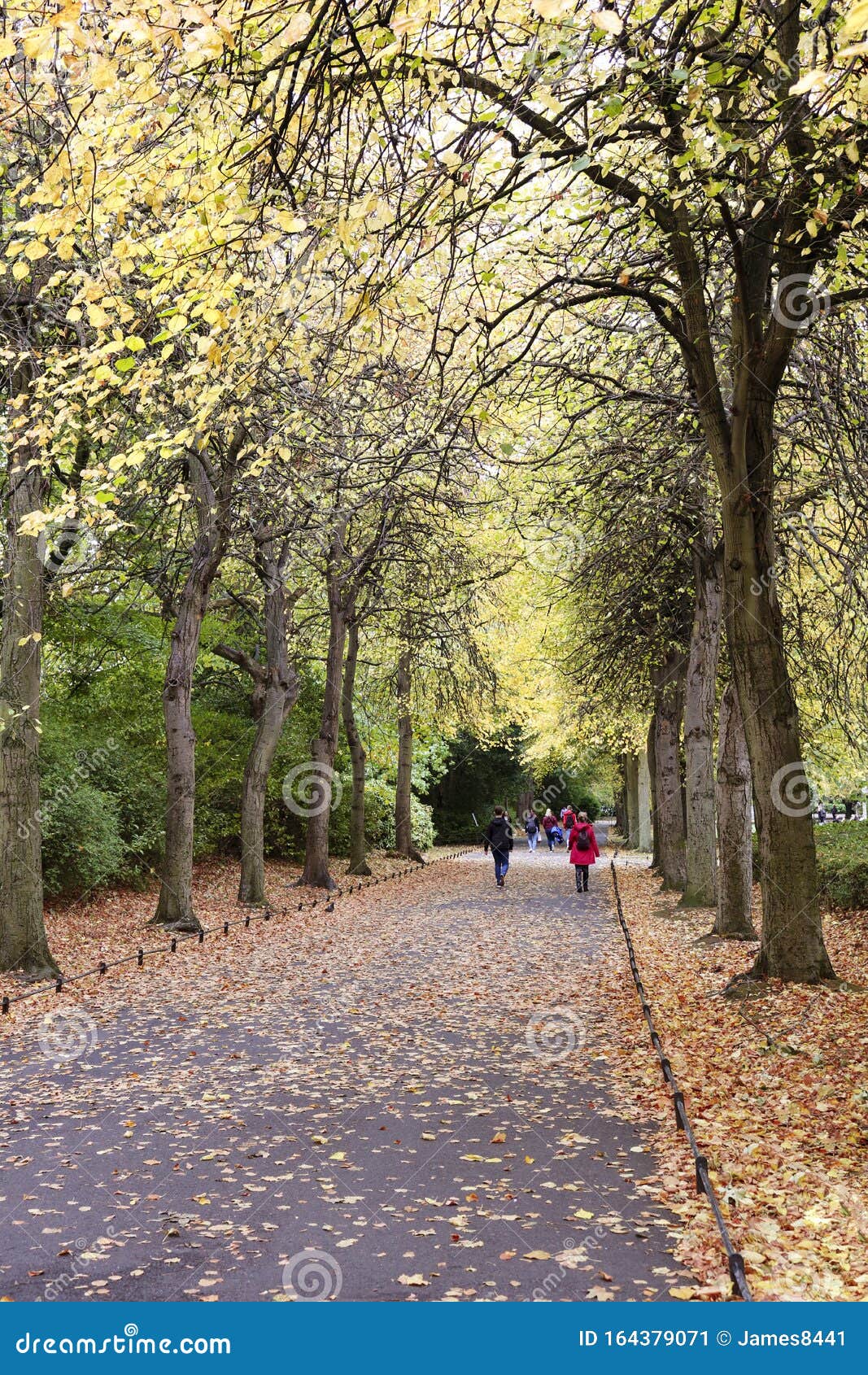 Walk in the autumn park stock image. Image of colorful - 164379071
