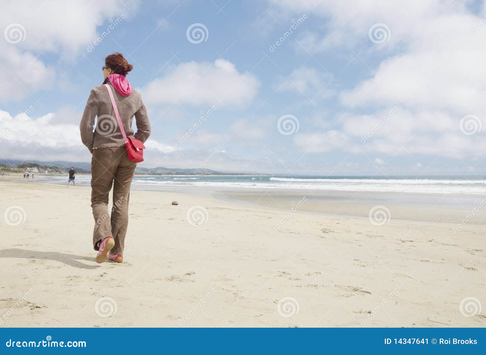 A walk on the beach stock image. Image of back, beach - 14347641