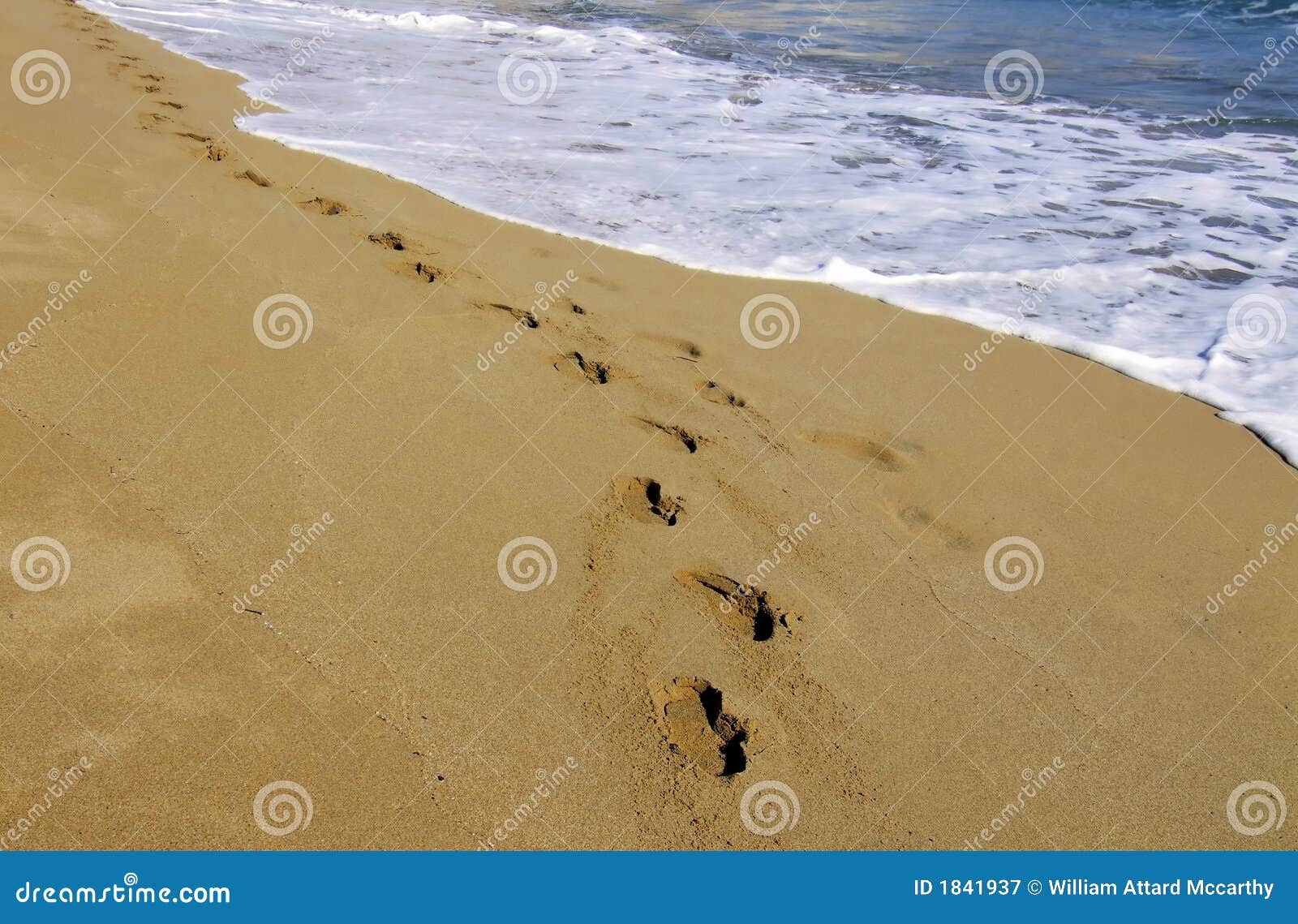 A Walk on the Beach stock image. Image of leisure, ocean - 1841937