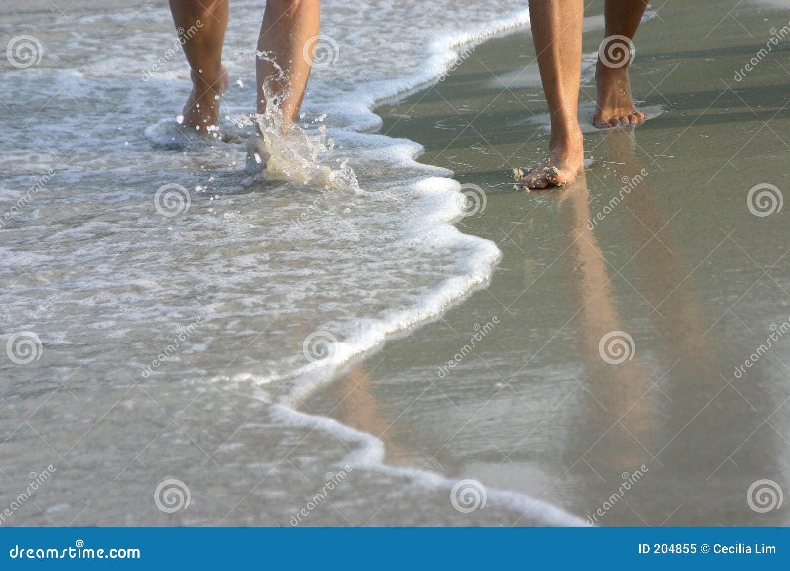 A Walk on the Beach stock image. Image of friends, grey - 204855
