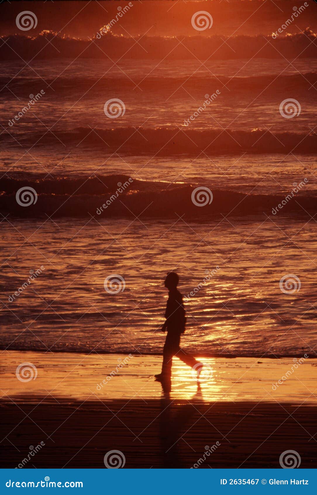 Walk on the beach stock image. Image of solitude, waves - 2635467