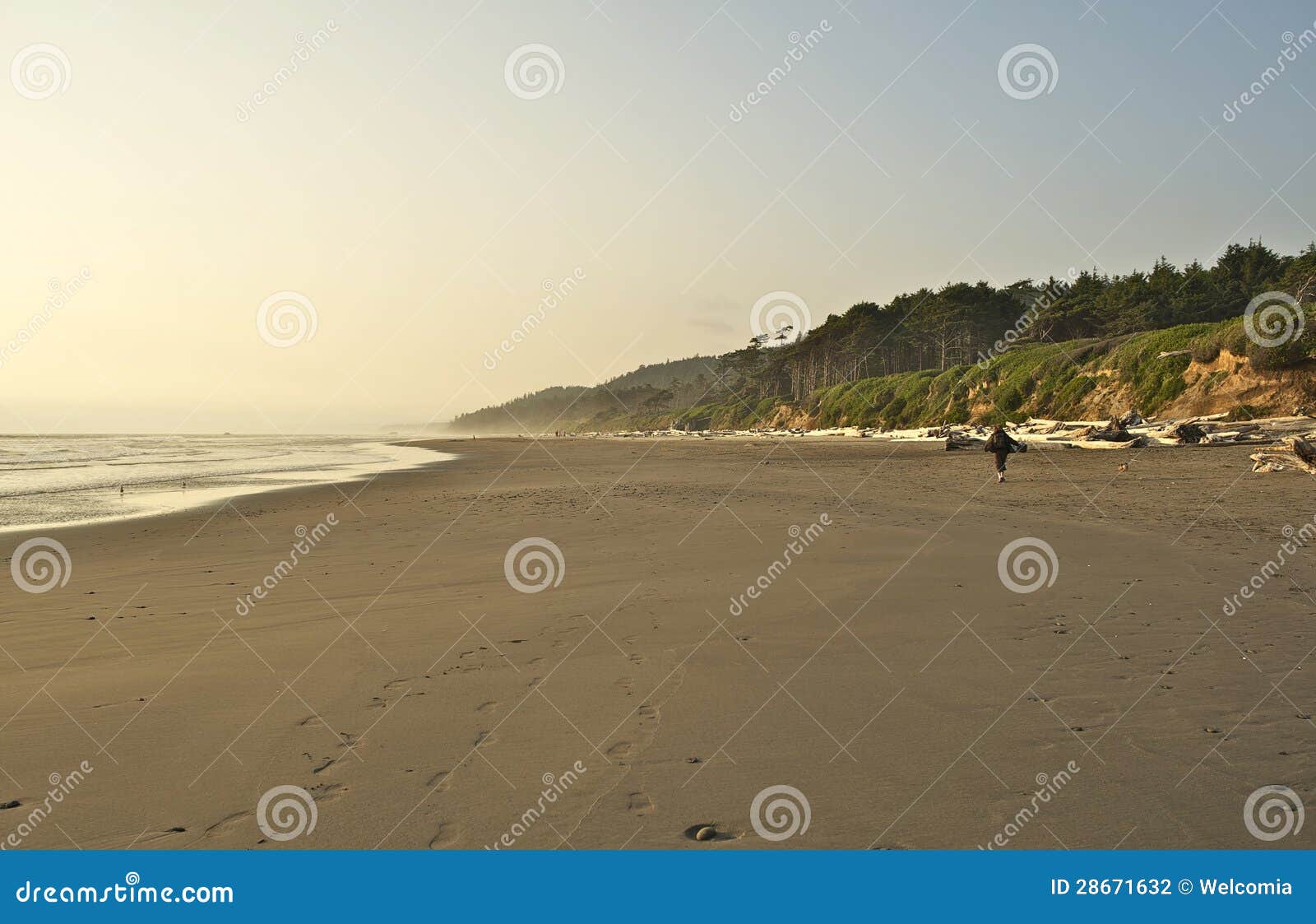 Walk on the Beach stock photo. Image of sunset, shore - 28671632