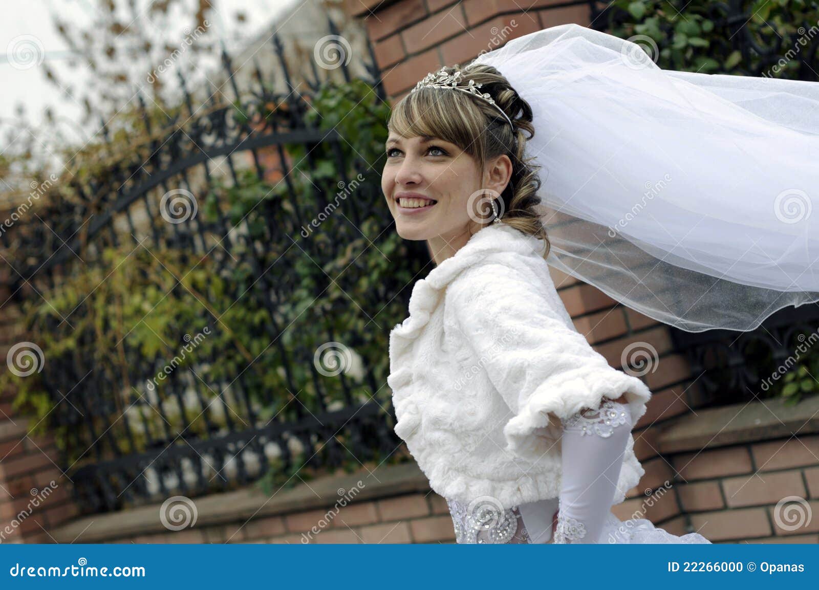 Walk of the bride stock photo. Image of lovely, sight - 22266000