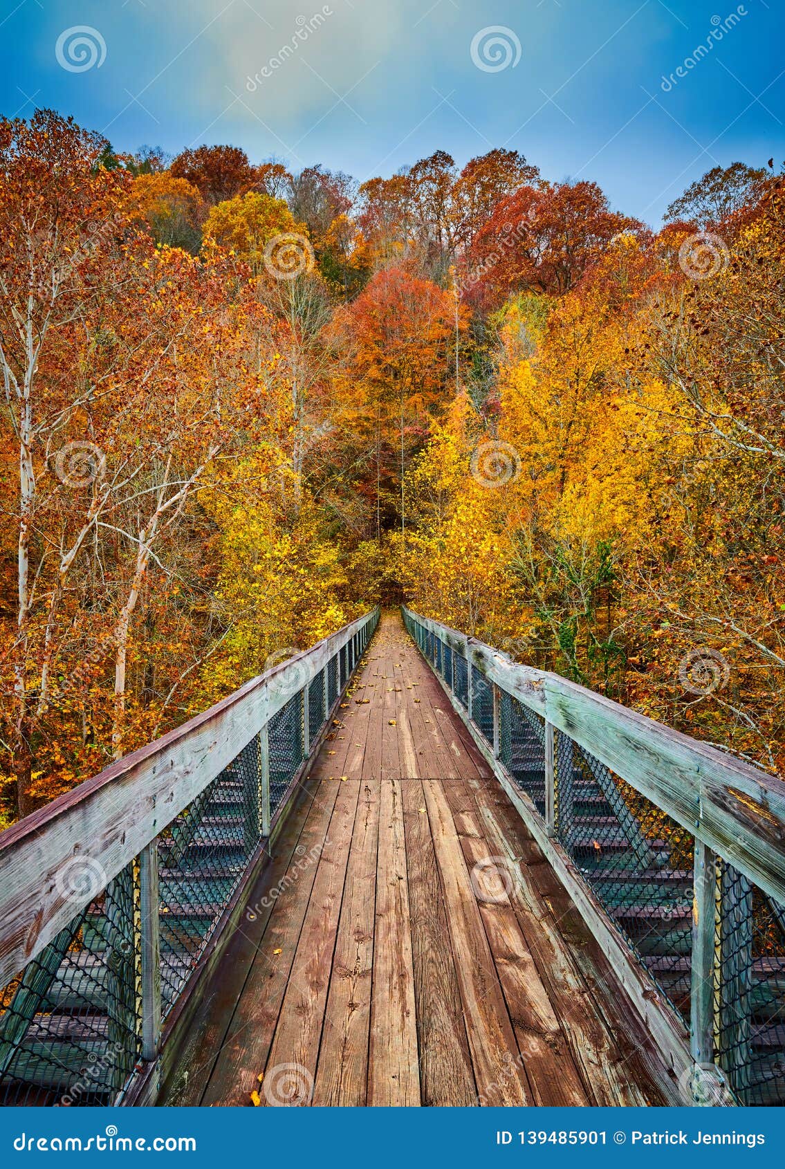 Walk Bridge with Fall Leaves Stock Image - Image of gorge, kentucky ...