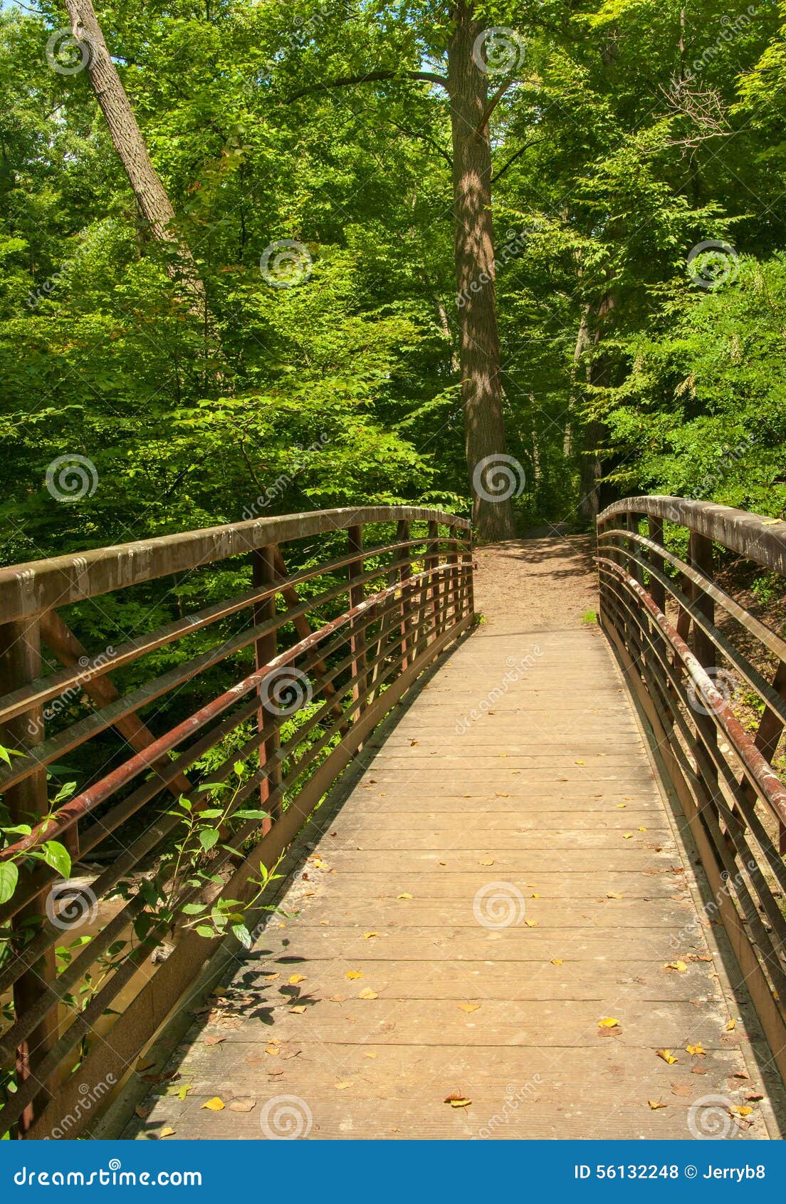Walk Bridge Over Creek stock photo. Image of state, scenic - 56132248