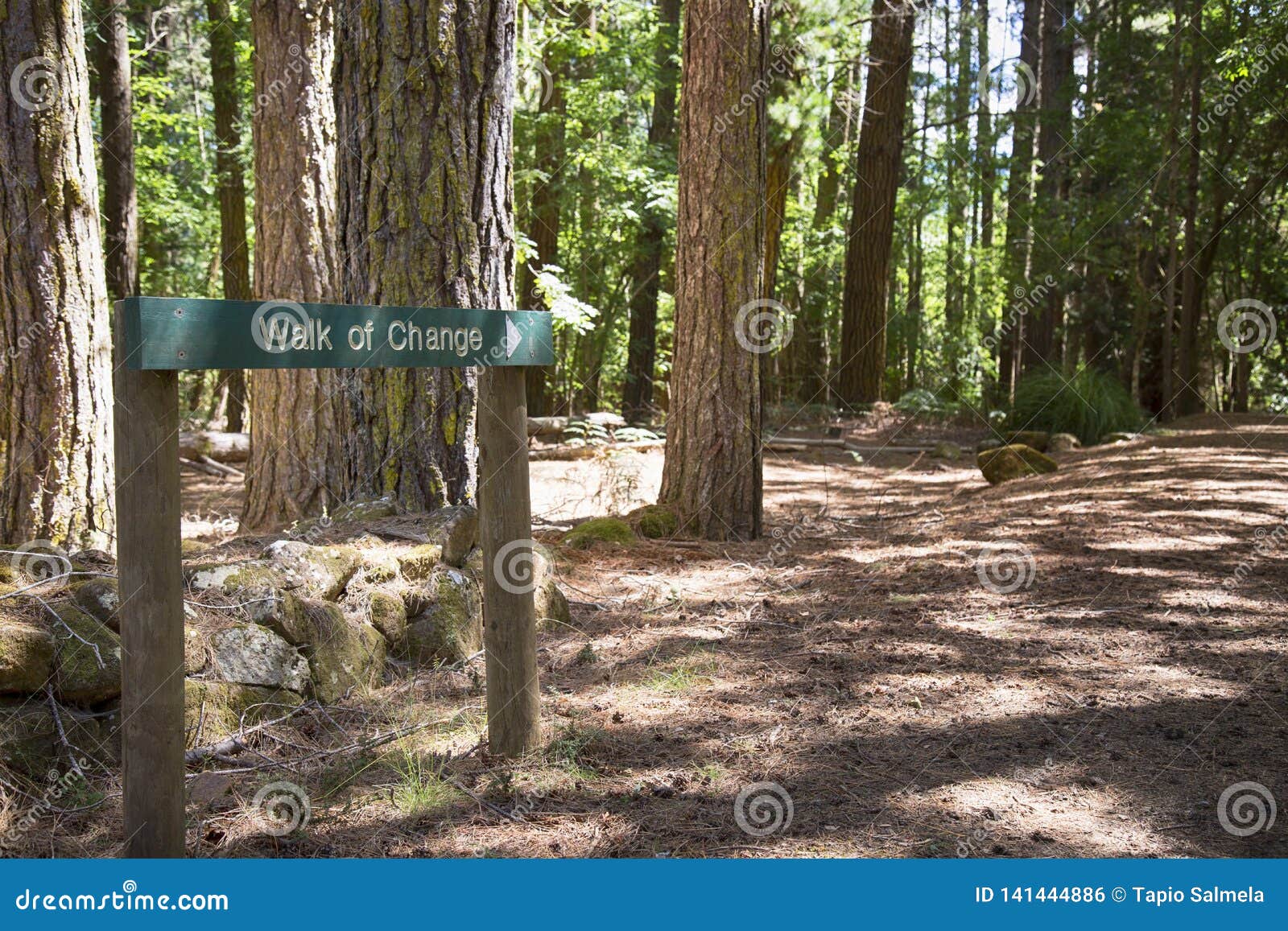 The Path to Change stock photo. Image of road, inspiration - 141444886