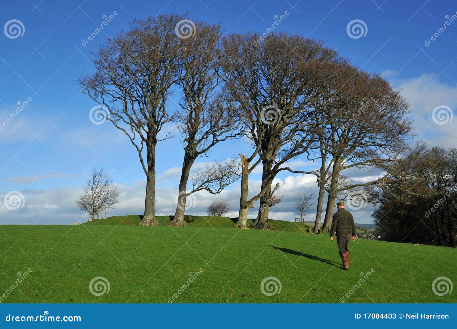 Walk in the countryside stock image. Image of peaceful - 17084403