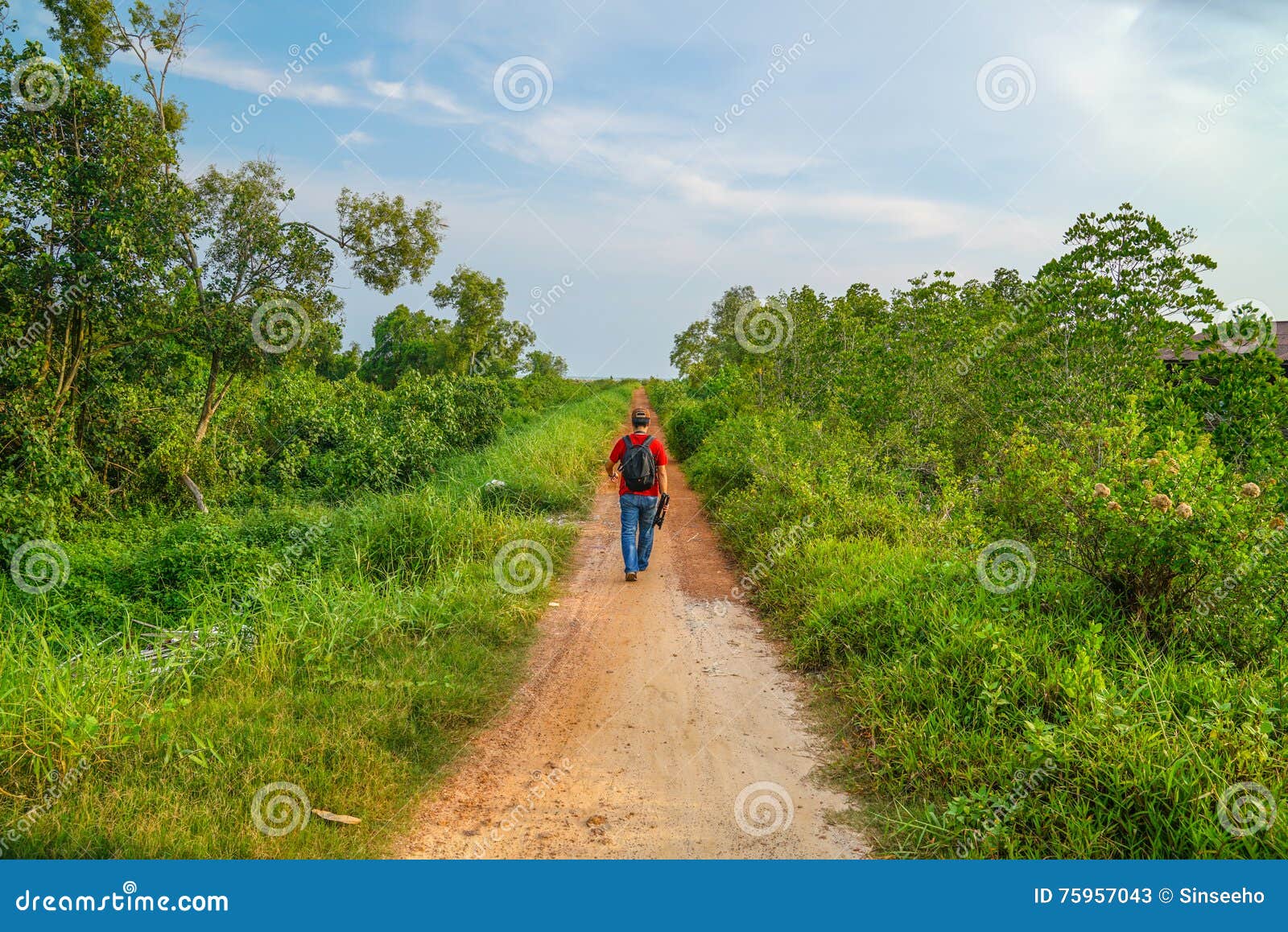 Walk in the countryside stock image. Image of dirt, sunny - 75957043