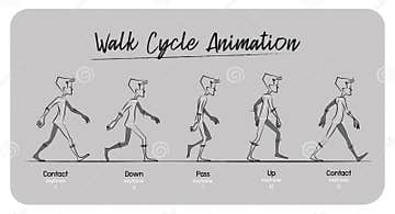 Walk Cycle Steps for Beginner with Kayframe Animation. Stock ...