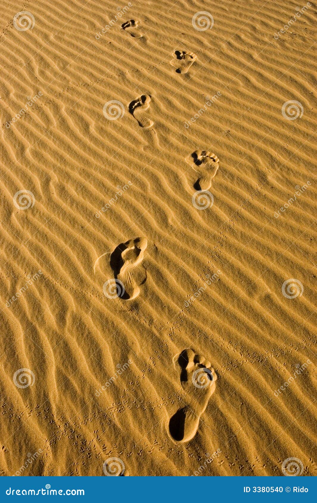 Walk in the desert stock photo. Image of walking, impression - 3380540