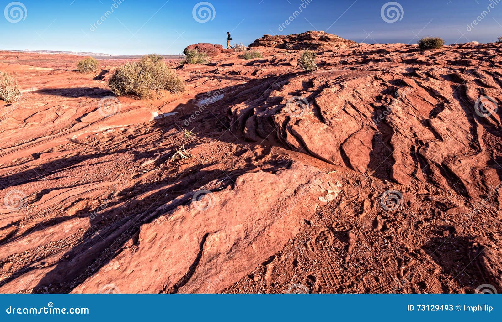 Walk in the desert stock image. Image of desert, trail - 73129493