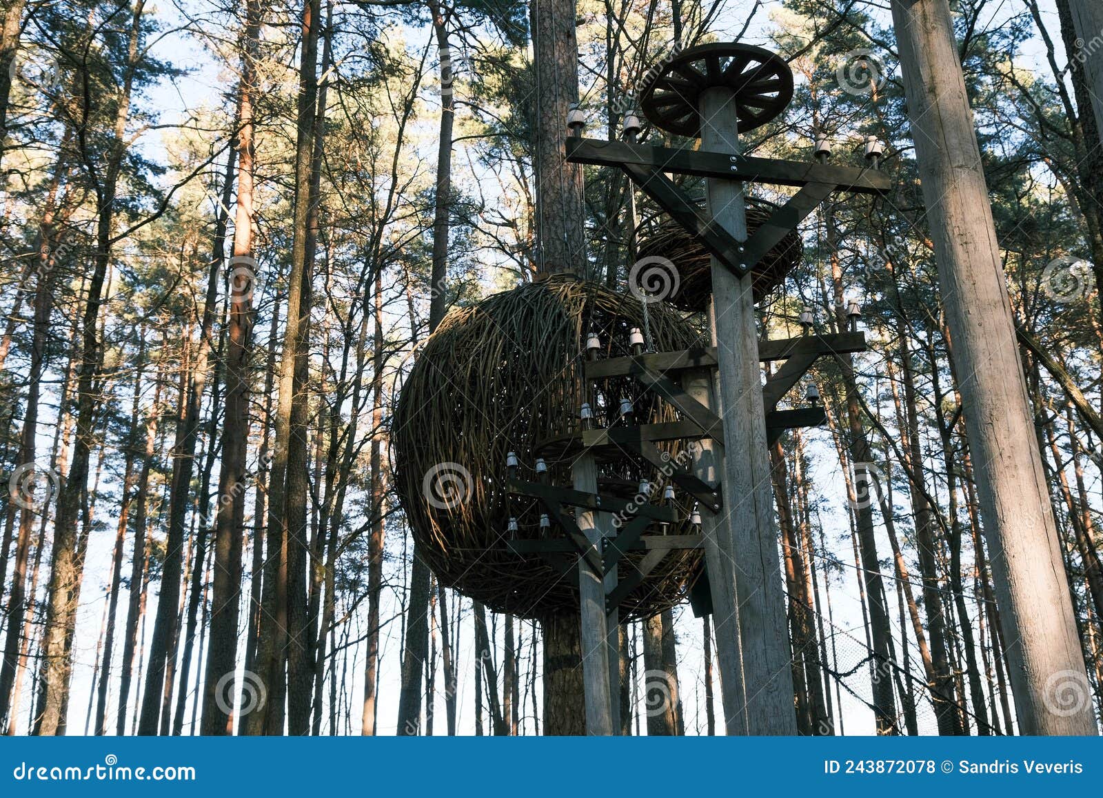 Walk through the Ends of Trees. Virtual Branch Socket. Stock Photo ...