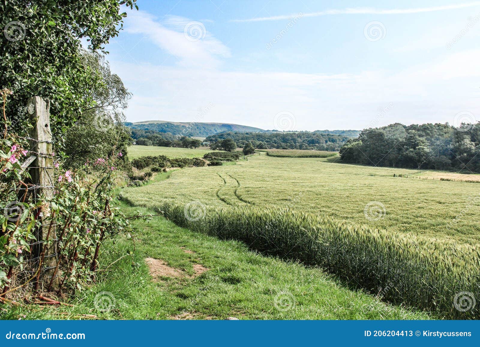 A Walk in the English Countryside in Late Spring Stock Image - Image of ...