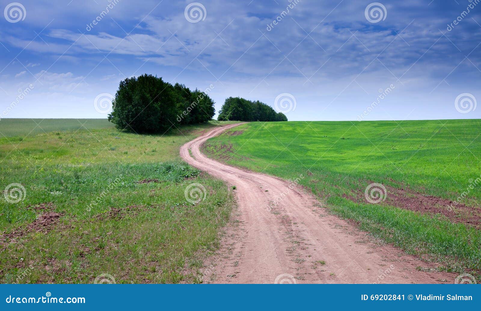 Walk in the field stock image. Image of plant, horizon - 69202841