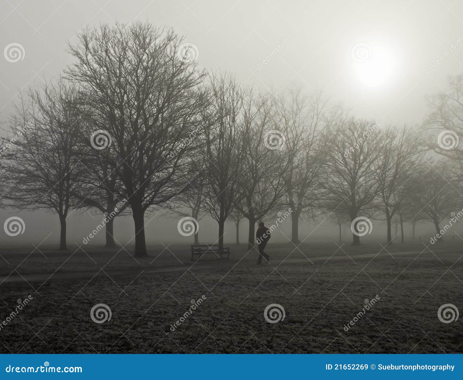 A walk in the fog stock image. Image of poor, bench, walker - 21652269