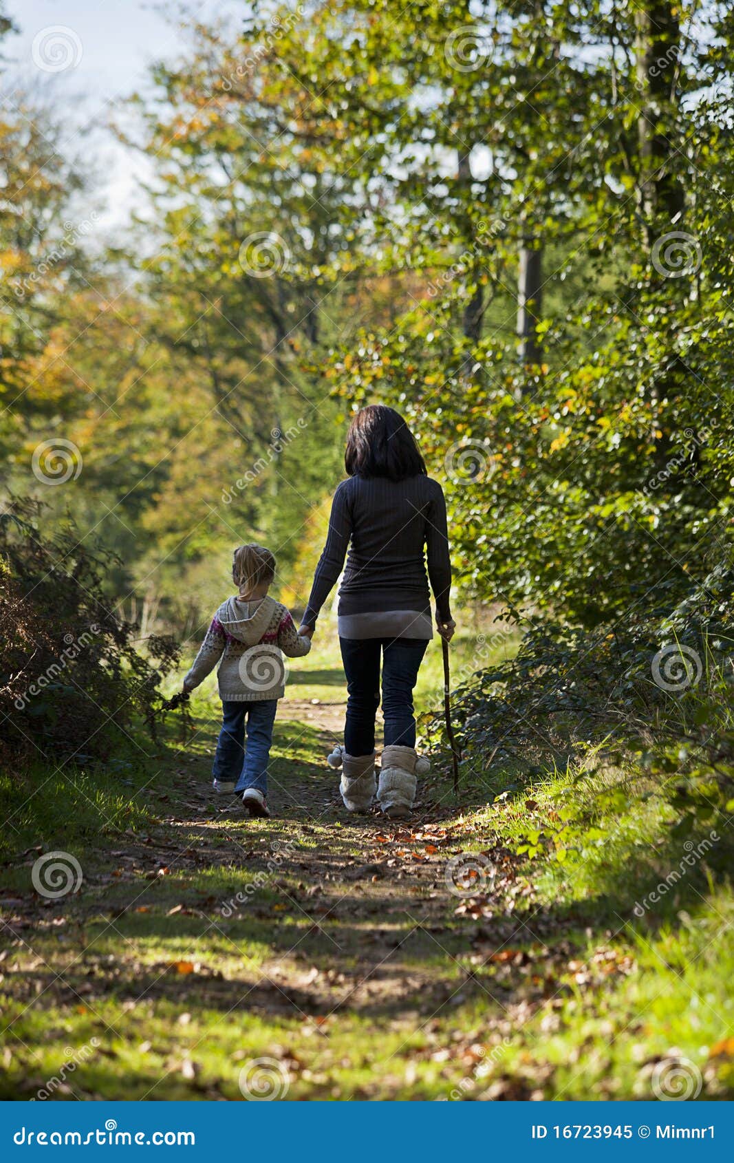 Walk in the forest stock image. Image of relax, family - 16723945