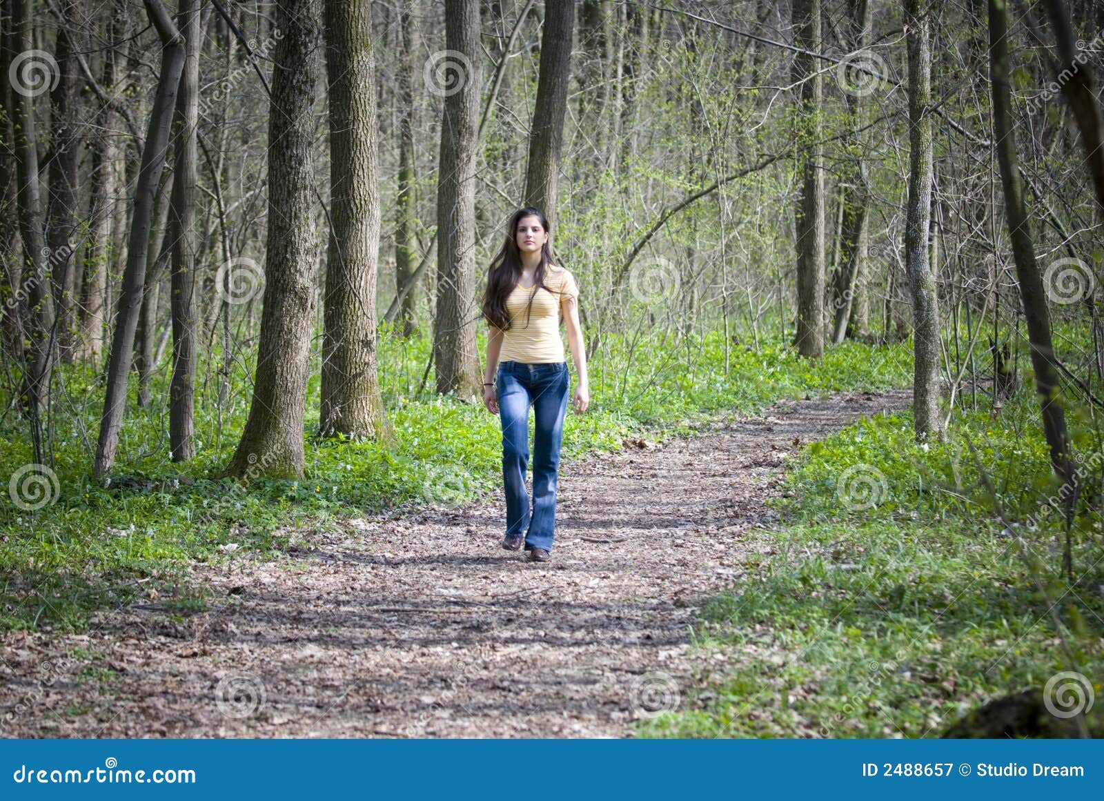 Walk in the forest stock image. Image of activity, woodland - 2488657