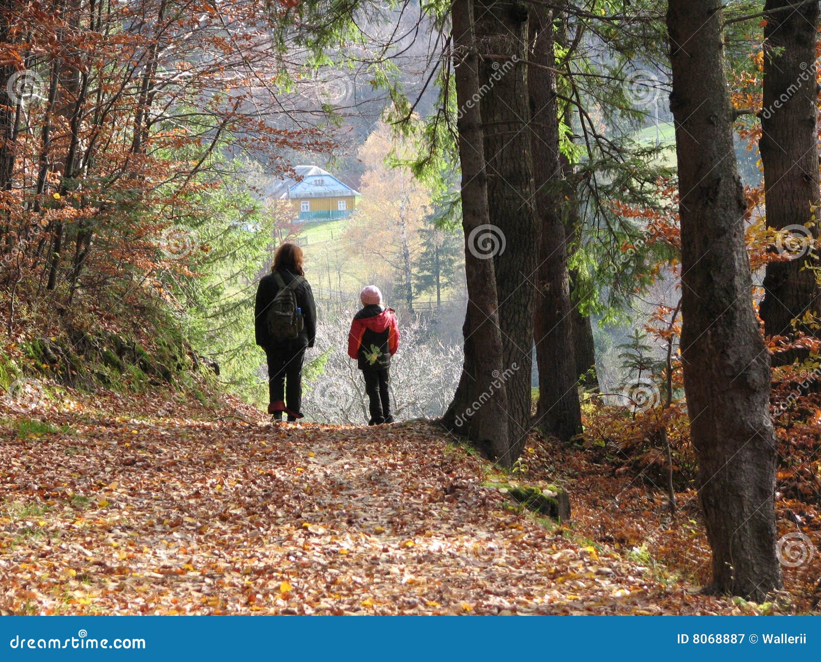 Walk in the forest stock image. Image of girl, duet, beauty - 8068887