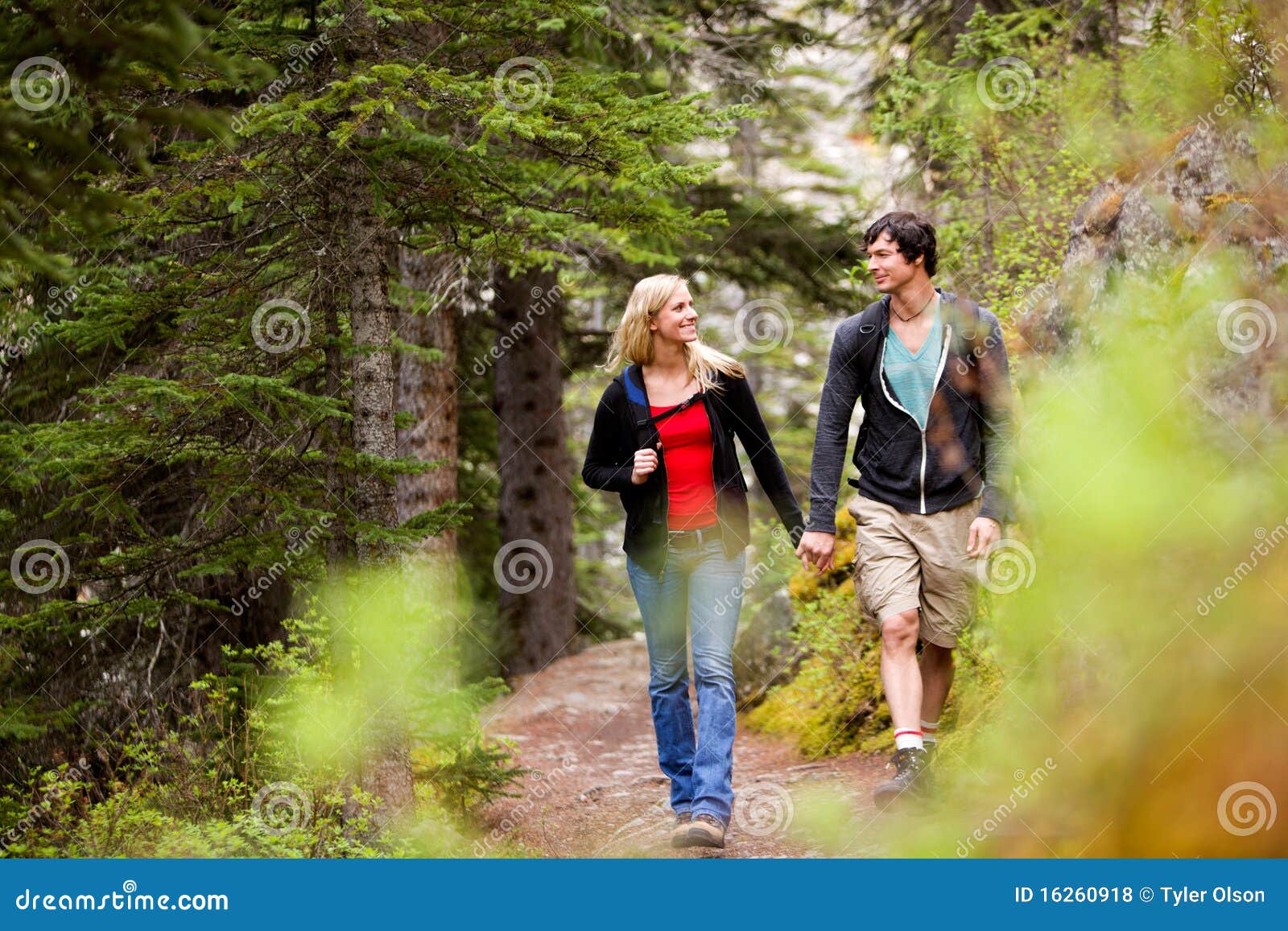 Walk Forest Couple stock photo. Image of relationship - 16260918