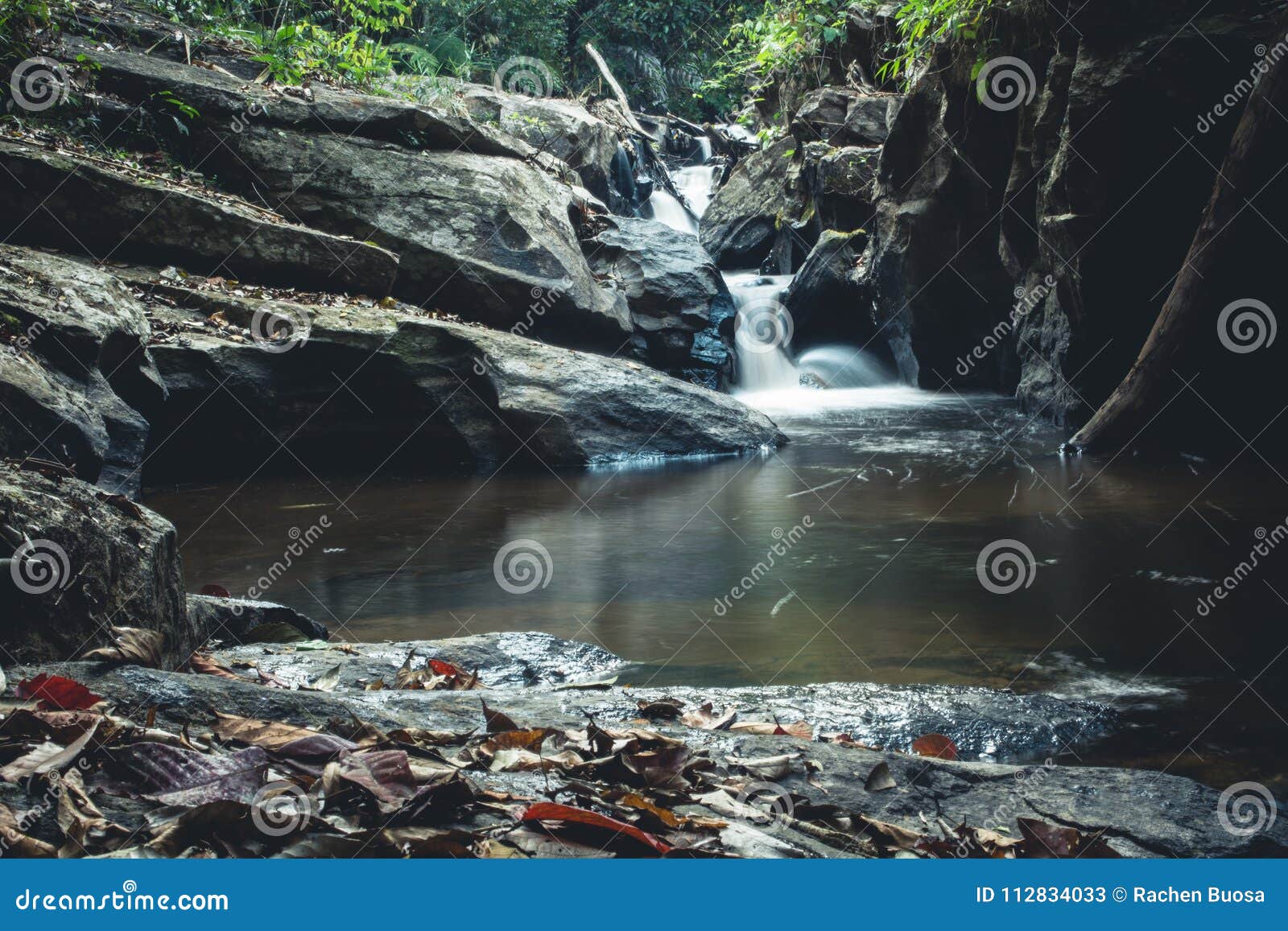 Walk in the Forest Natural Waterfall Stock Image - Image of green ...