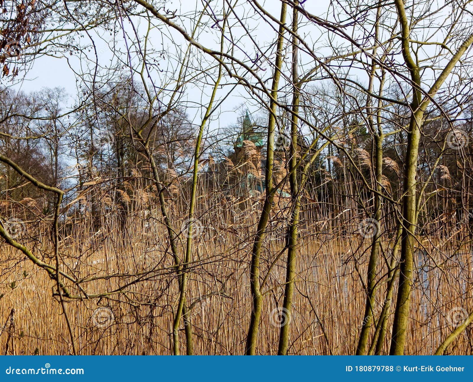 Walk through the Forest in Spring Stock Photo - Image of branch, nature ...