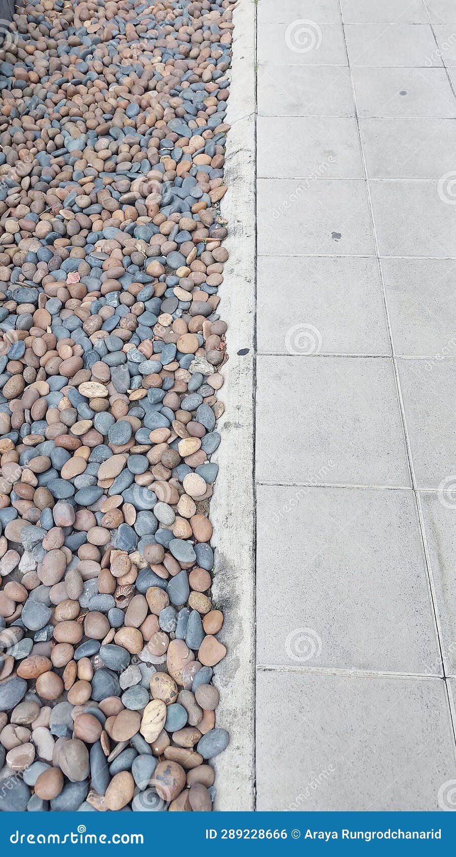 Walk Forward with the Walking Path Stock Photo - Image of tranquil ...