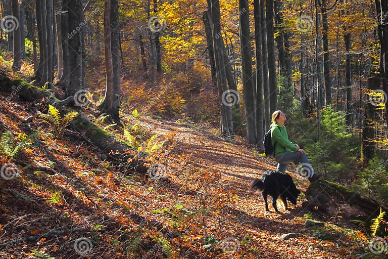 A walk with a friend stock image. Image of hiking, forest - 27485559