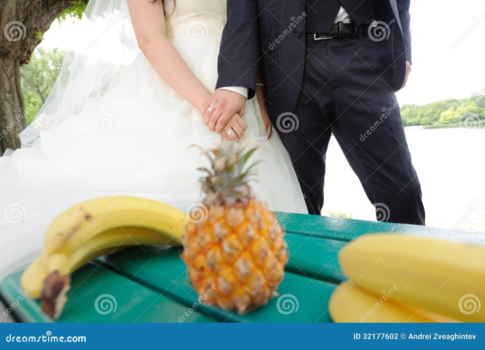 Walk with Fruits stock photo. Image of engagement, ceremony - 32177602