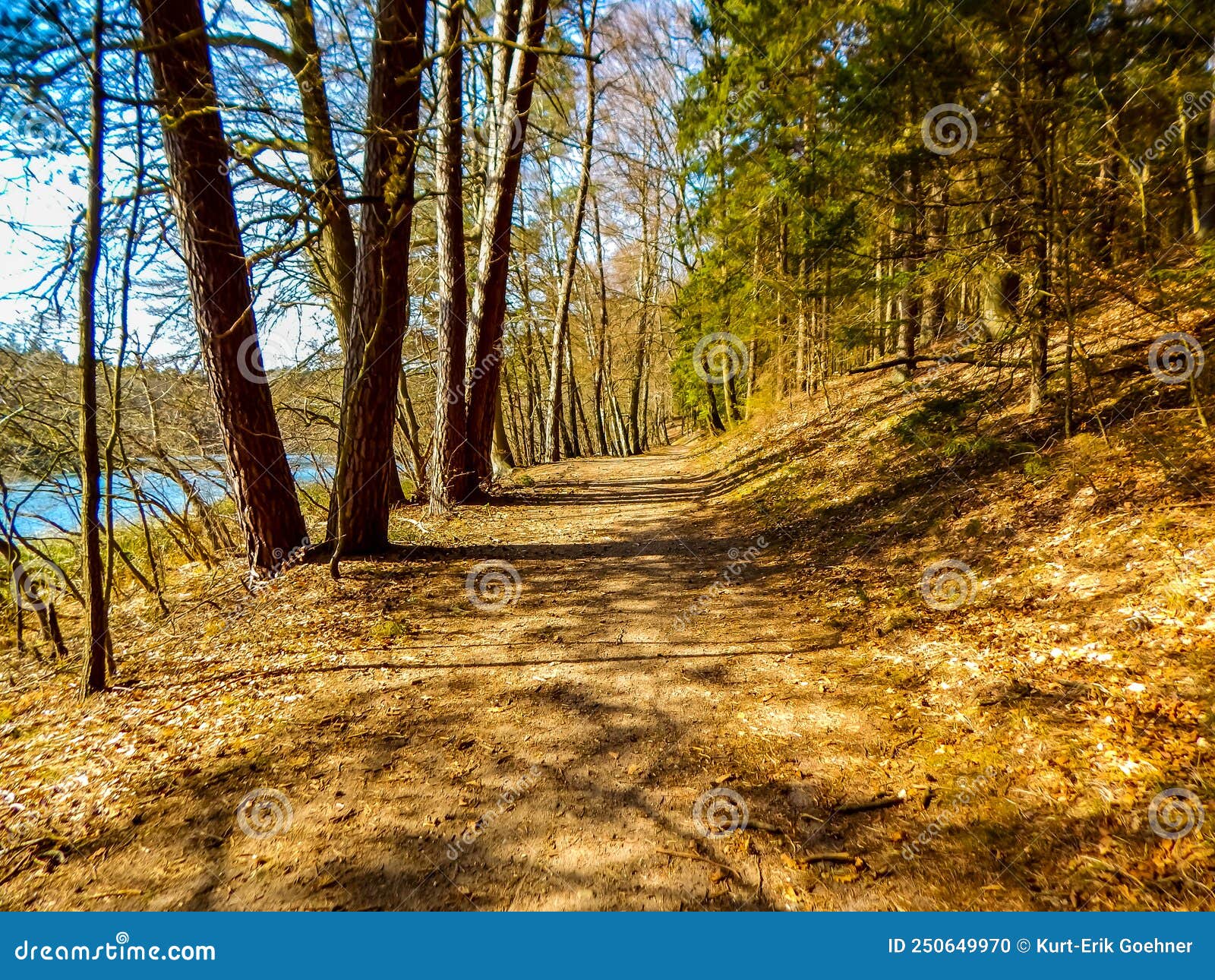 Walk by the lake stock photo. Image of landscape, branch - 250649970