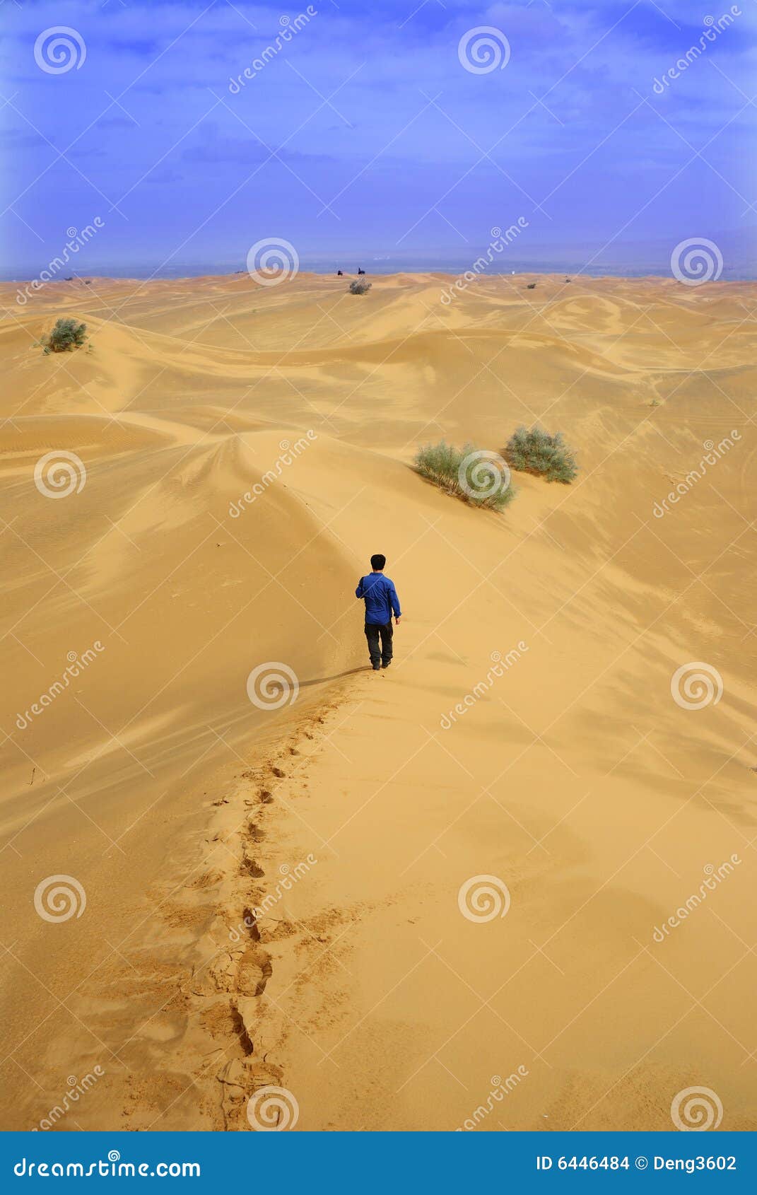 Walk lonely on desert stock photo. Image of solitude, desert - 6446484