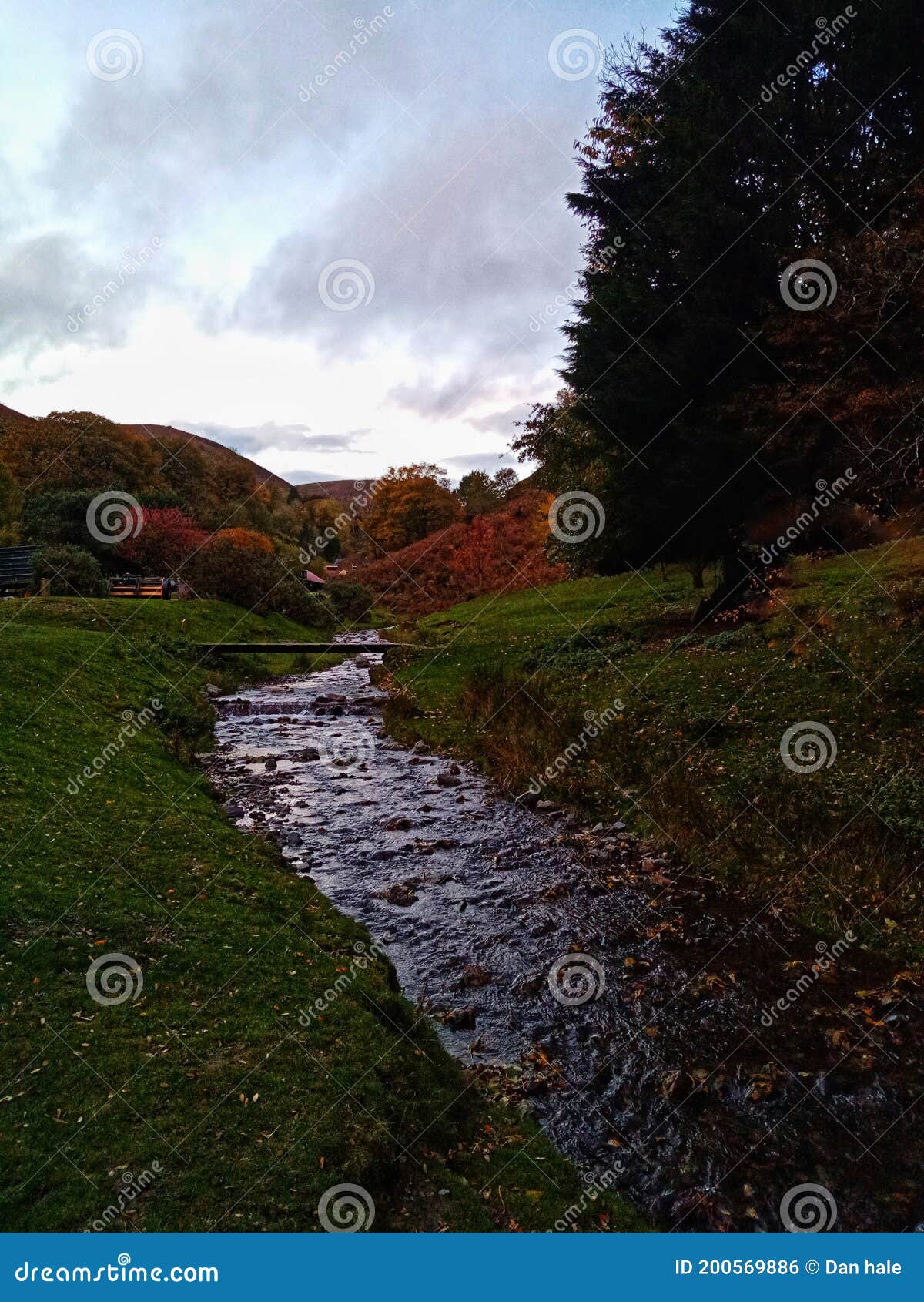 Walk in long mynd UK stock photo. Image of morning, forest - 200569886