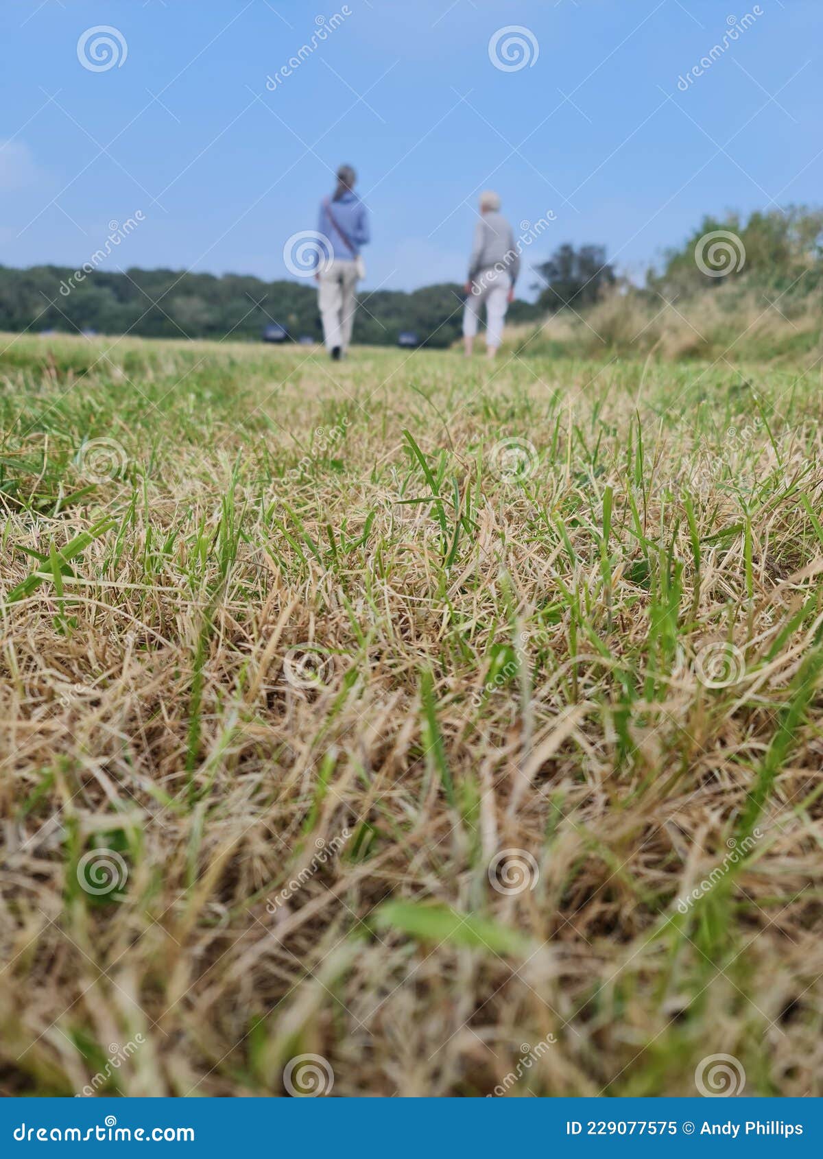 Walk after lunch stock image. Image of people, devon - 229077575