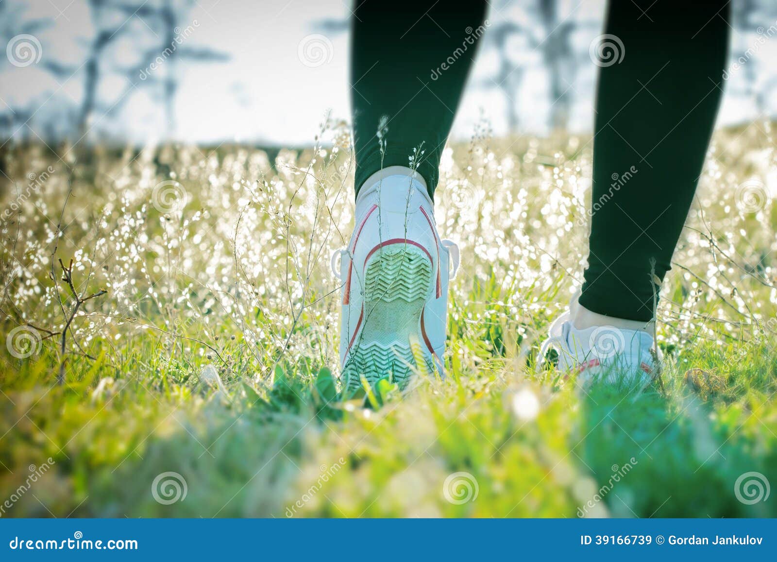 Walk in the morning dew stock image. Image of girl, activity - 39166739