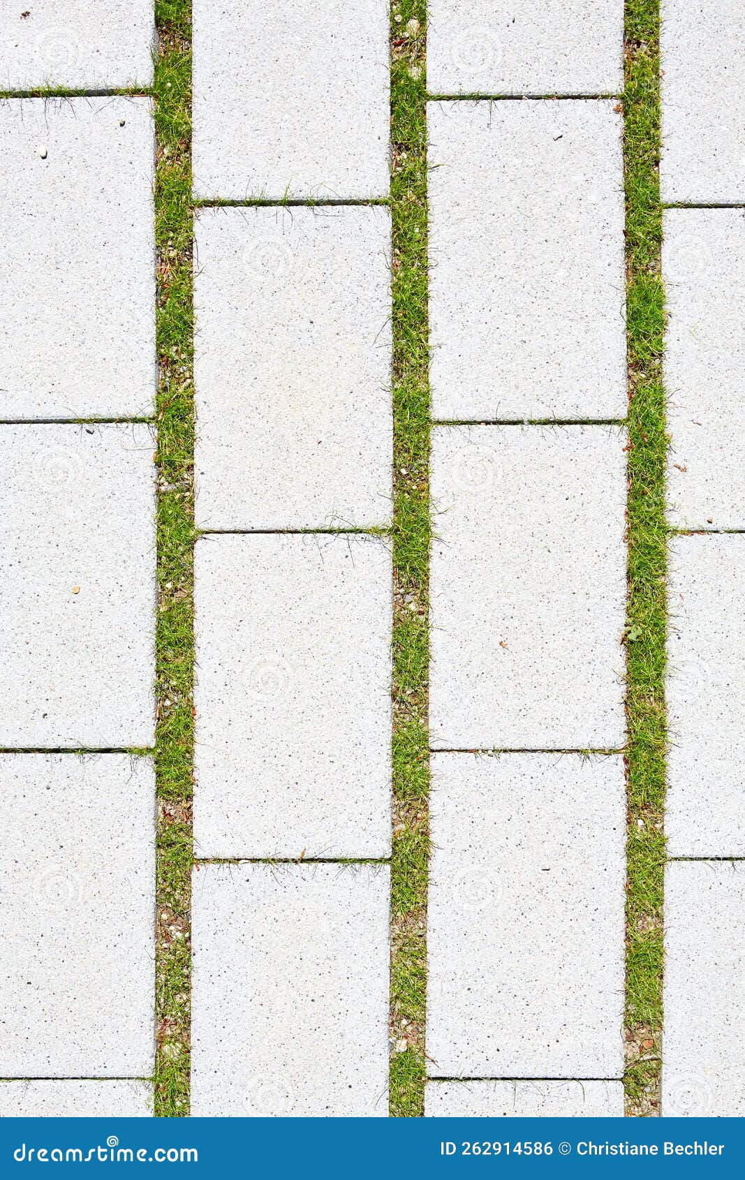 Walk through Munich with a View of Structures and Backgrounds Stock ...