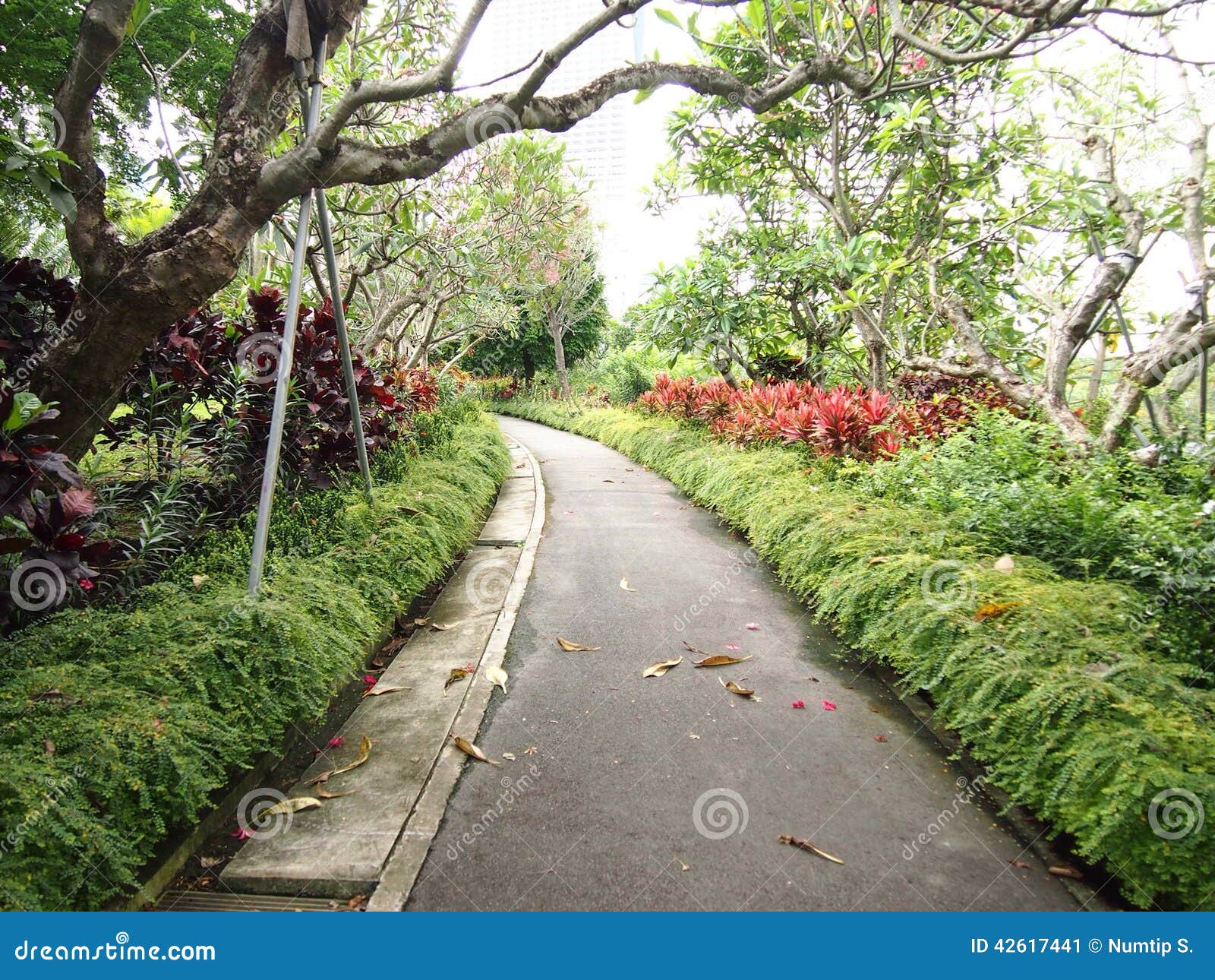 Nutural Pathway Stock Photos - Free & Royalty-Free Stock Photos from ...