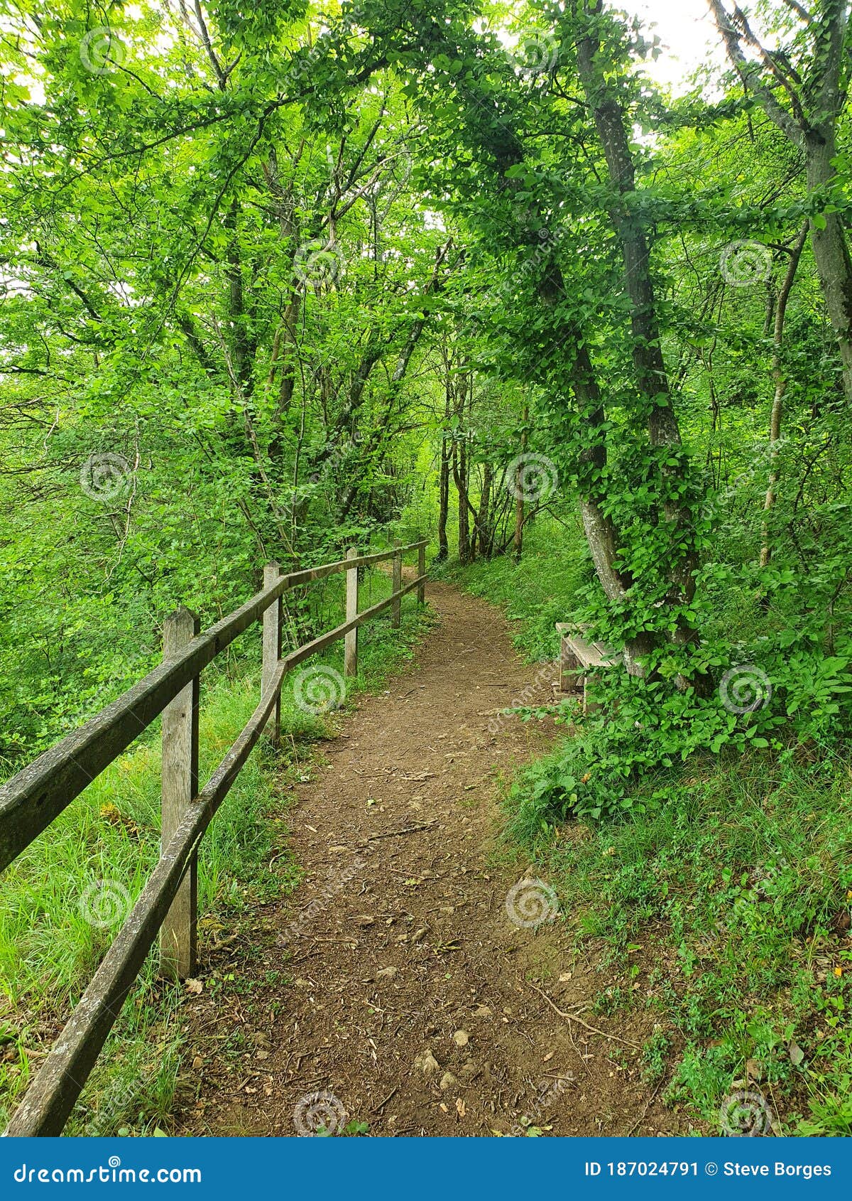 A walk in Nature stock image. Image of goodlife, walk - 187024791