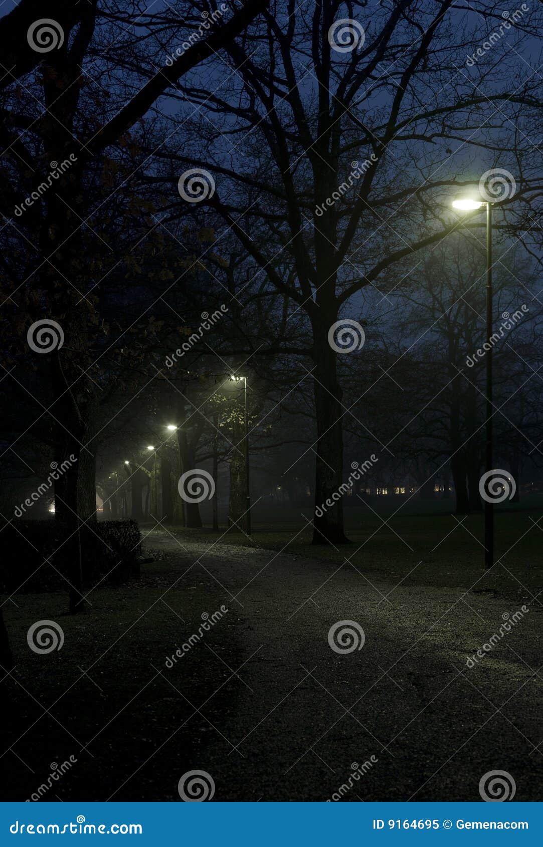 Walk at night stock image. Image of trip, road, lighting - 9164695
