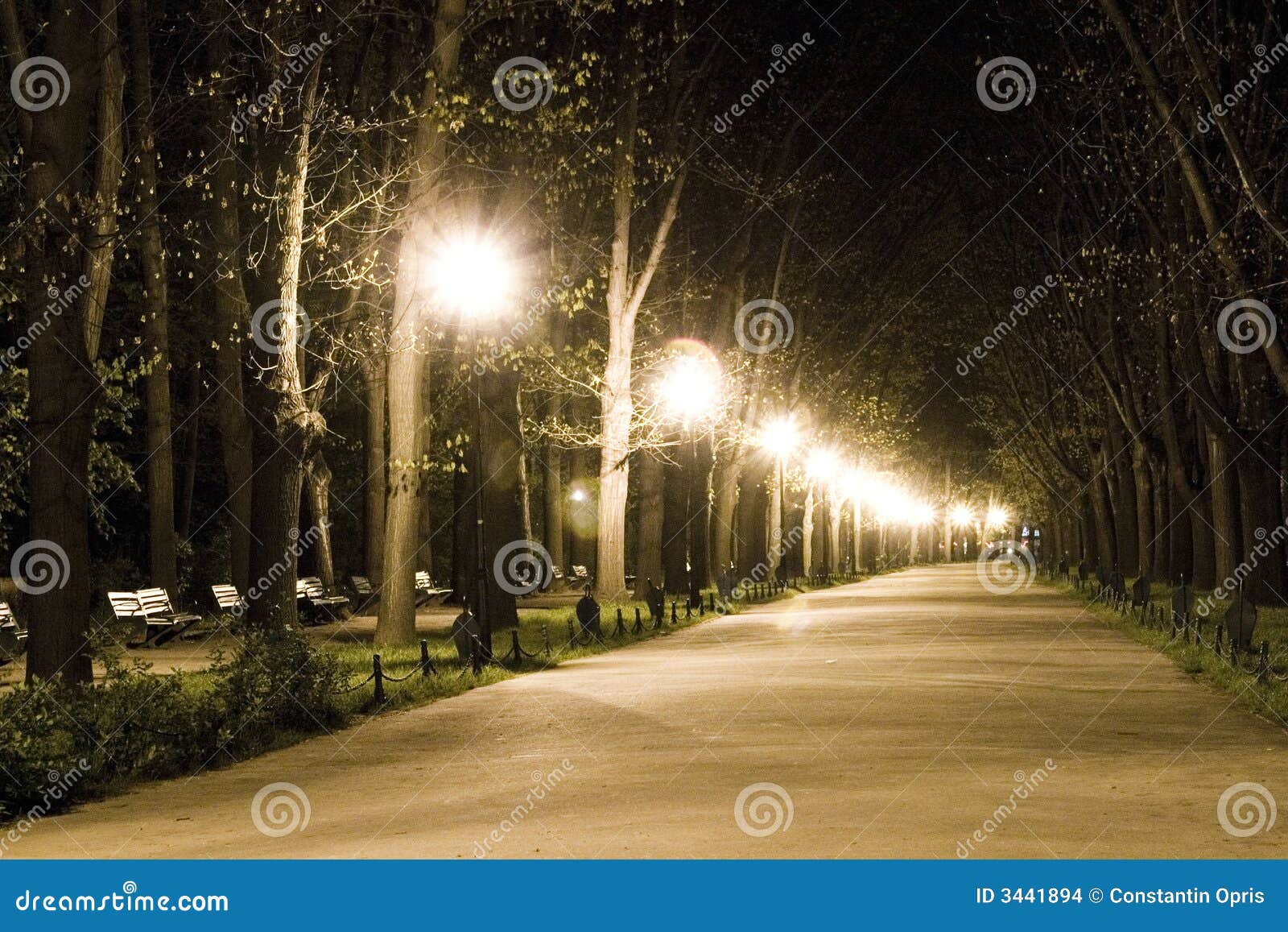 Walk in park at night stock photo. Image of darkness, evening - 3441894