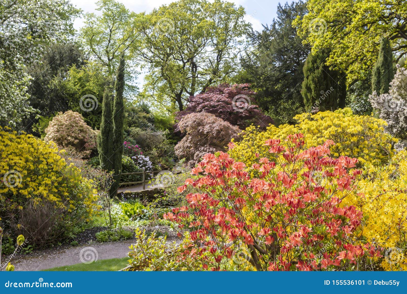 Walk through the Park at Springtime. Stock Image - Image of path ...