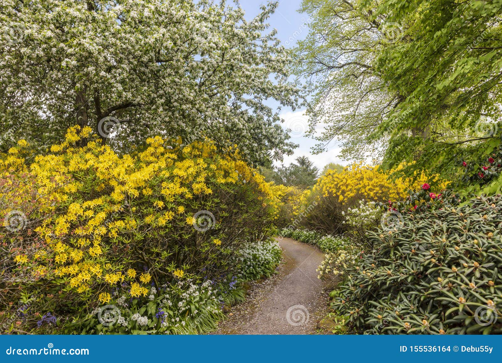Walk through the Park at Springtime. Stock Photo - Image of freshness ...