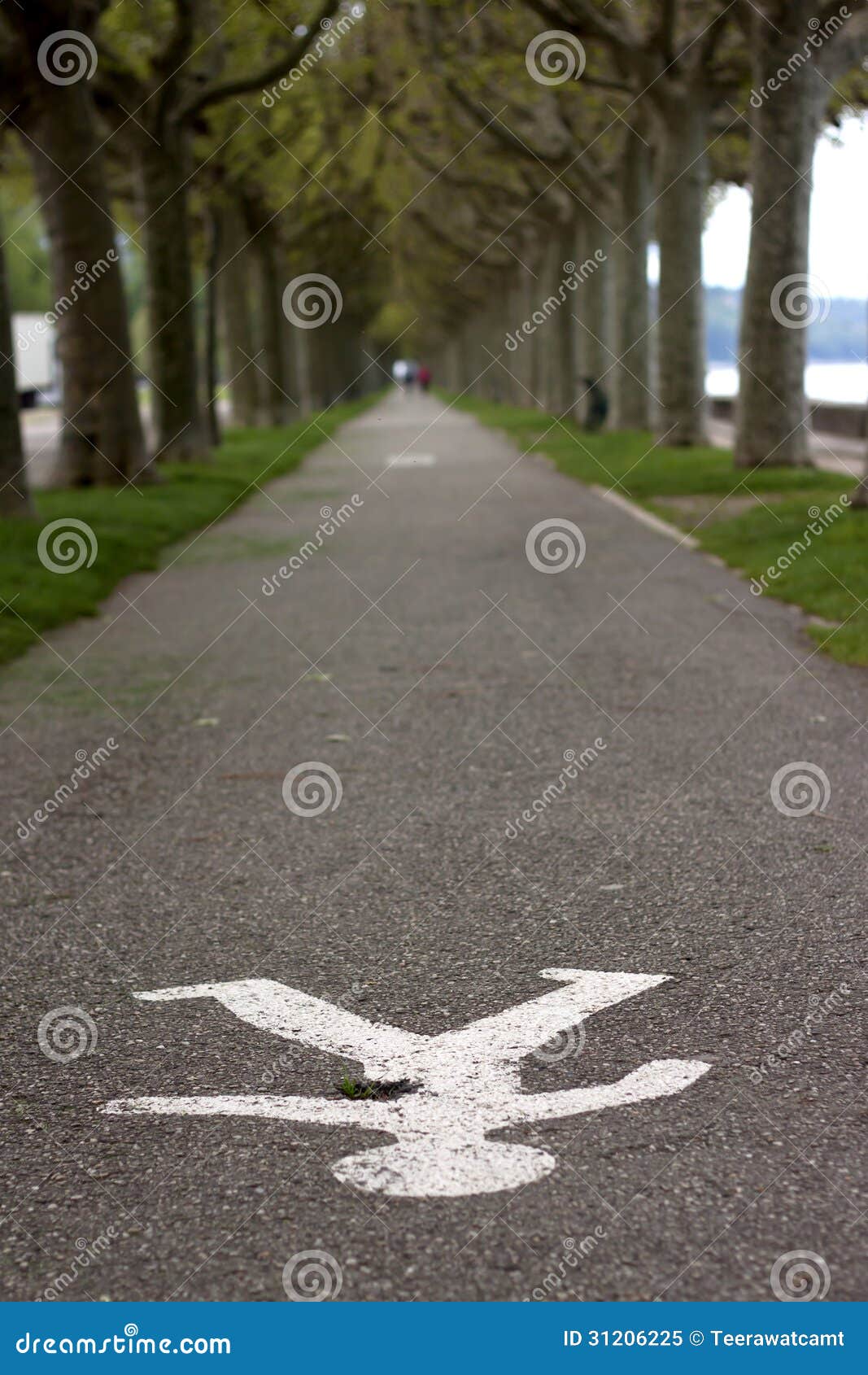 Walk part way. stock image. Image of lane, path, green - 31206225
