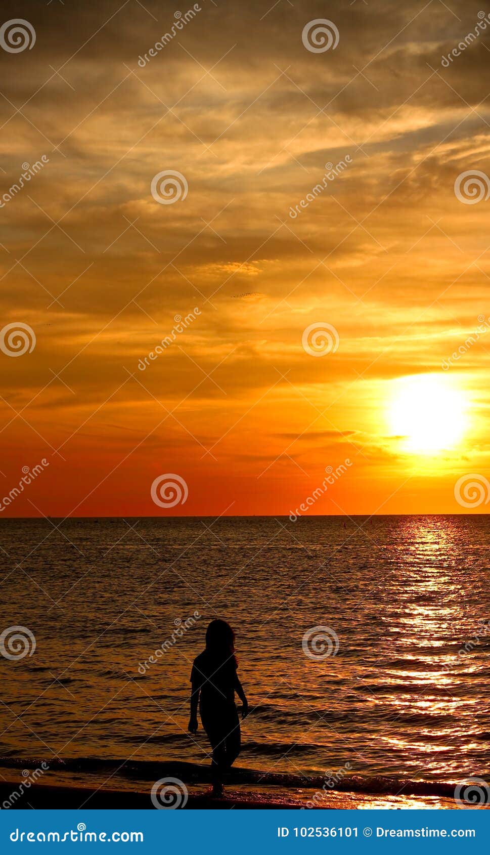 Walk pass by stock image. Image of fourwheeldrive, alone - 102536101