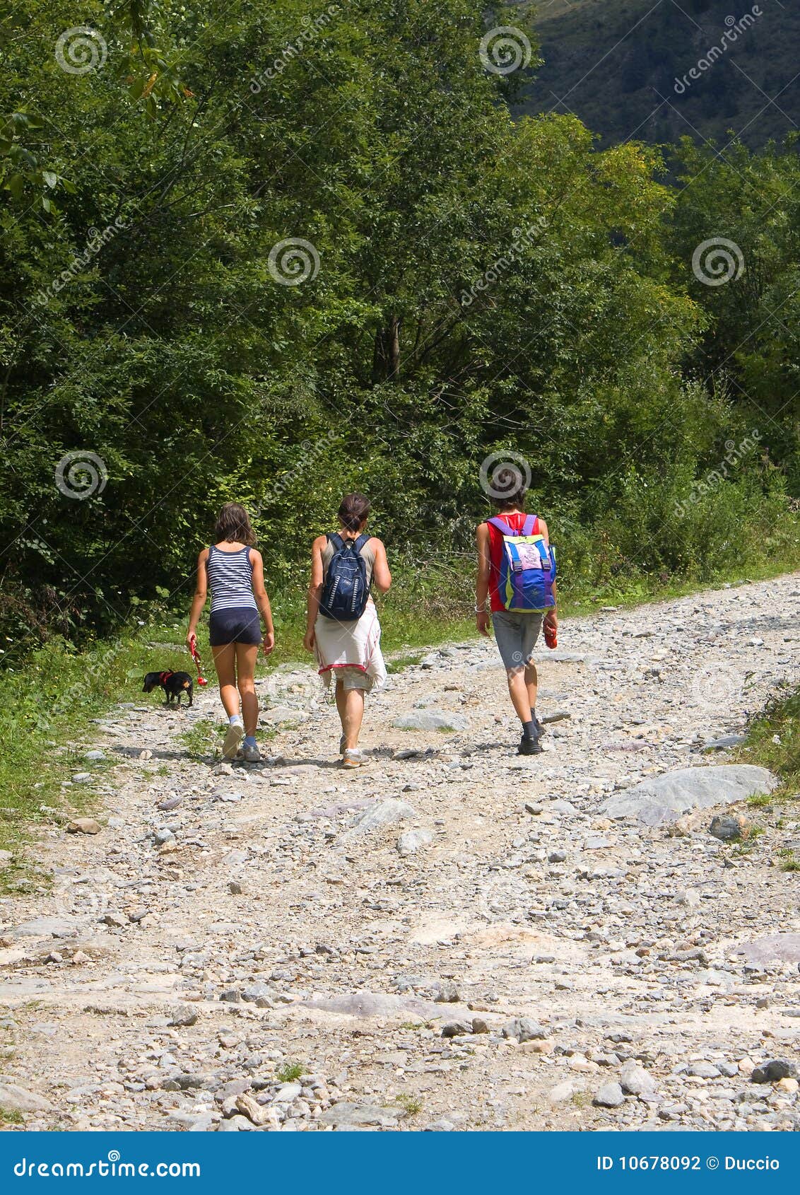 Walk on the path stock photo. Image of destination, dachshund - 10678092