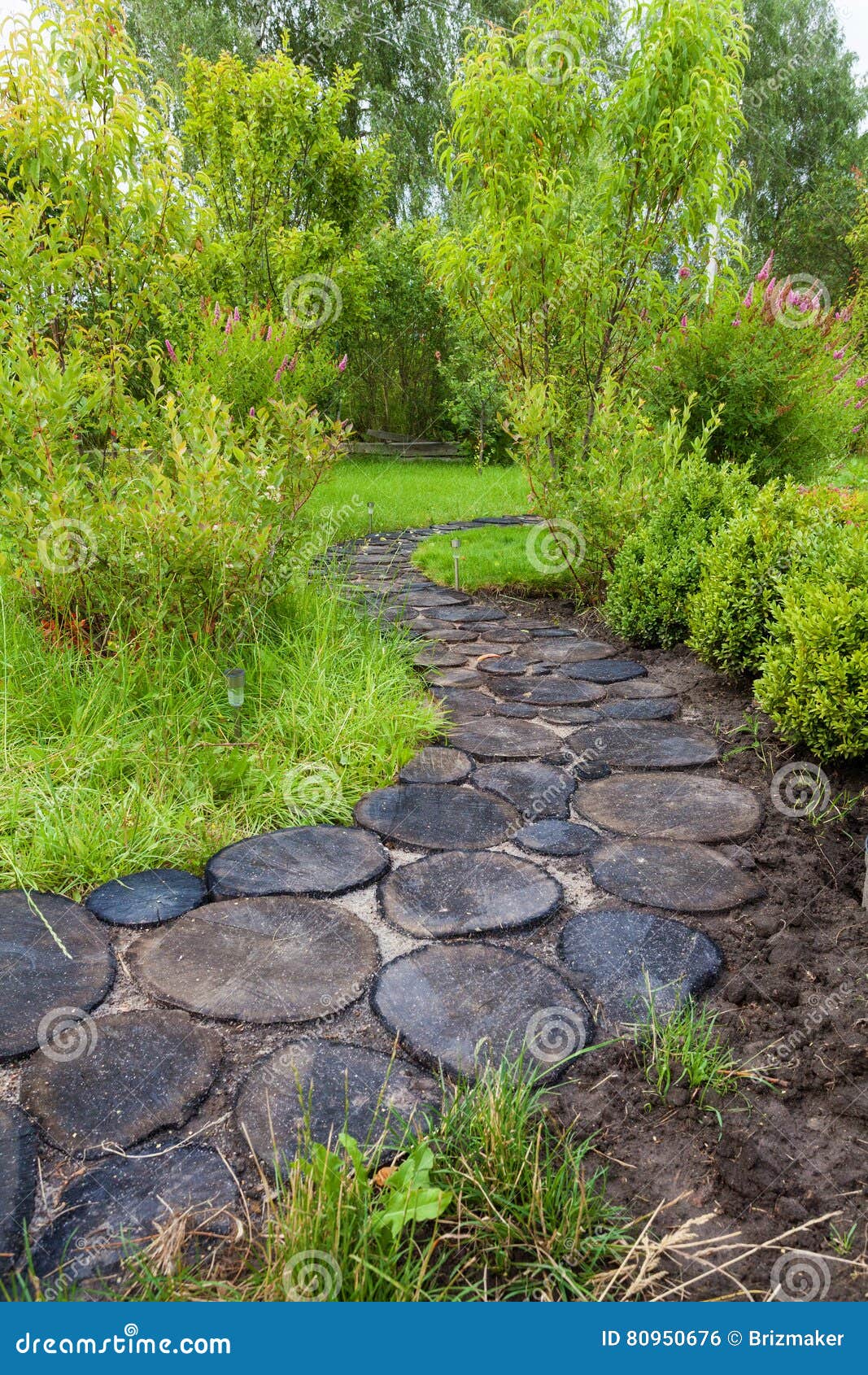 Walk Path in Garden Decorated with Wooden Stumps. Stock Photo - Image ...