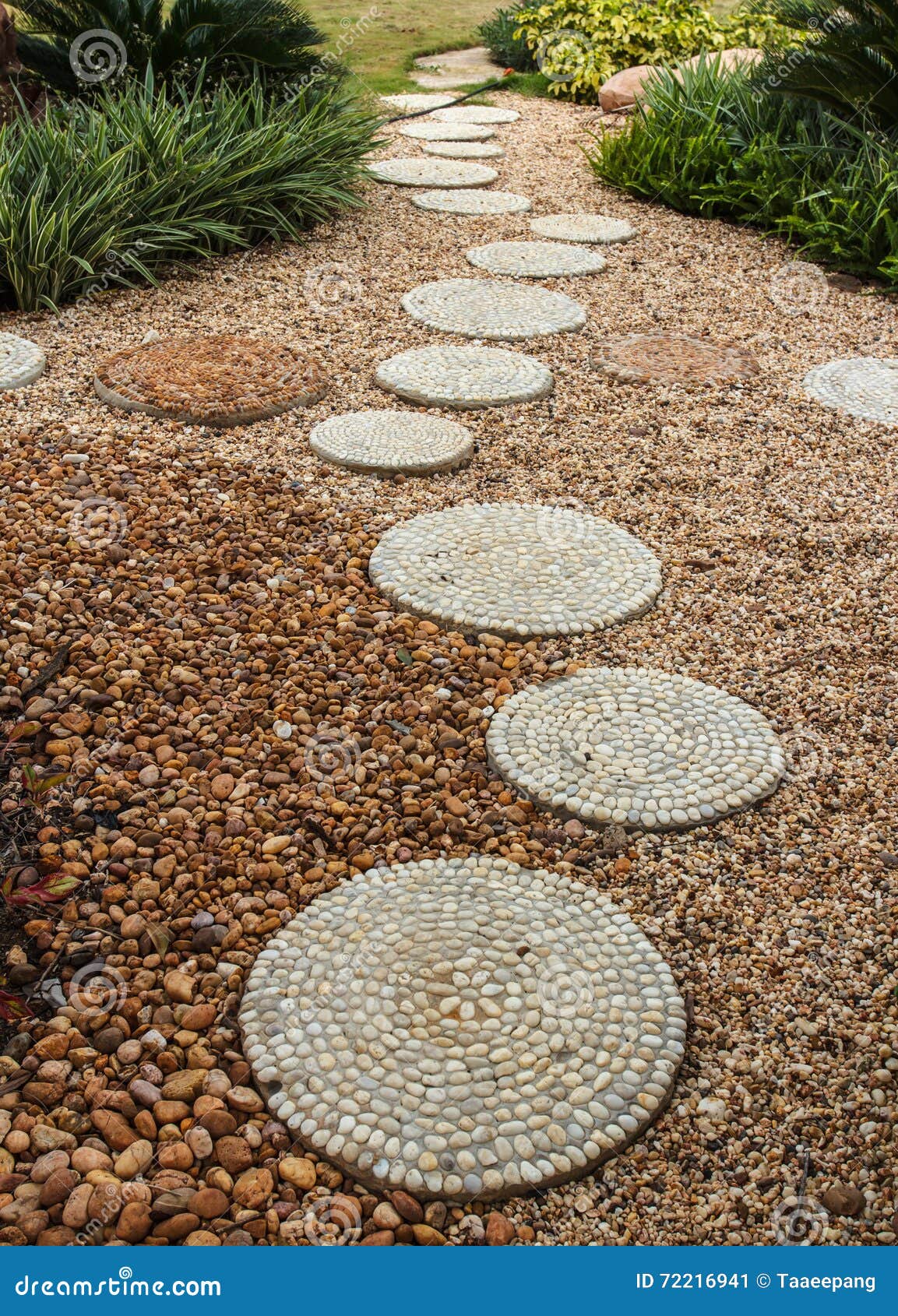 Walk path in garden stock image. Image of background - 72216941