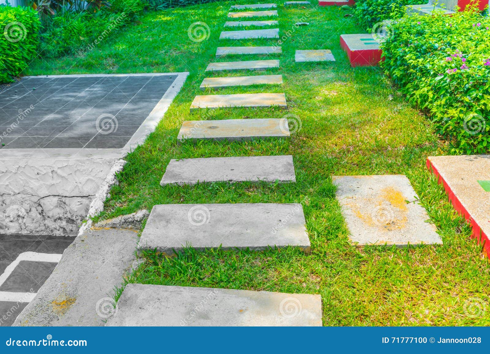 The Walk Path in the Park with Green Grass. Stock Photo - Image of road ...