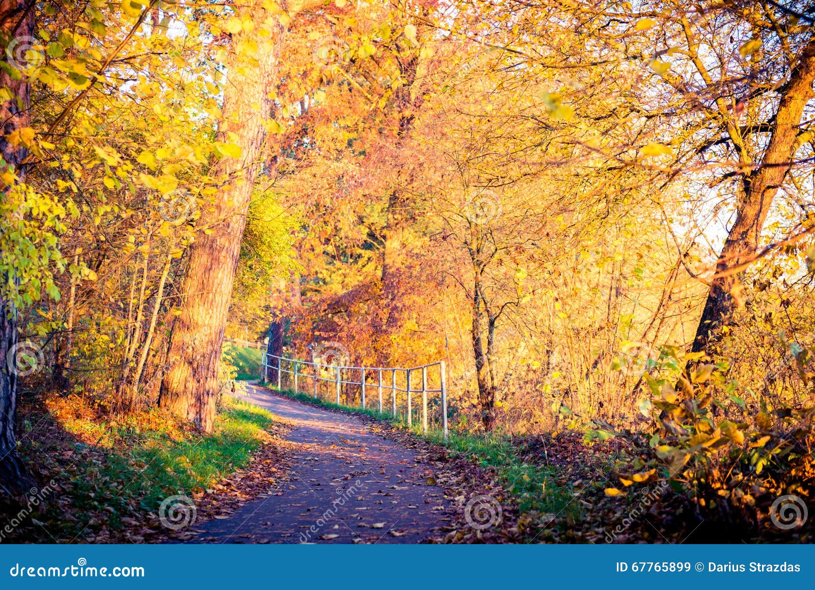 Walk Path at Sunrise Soft Light Stock Image - Image of mood, lines ...